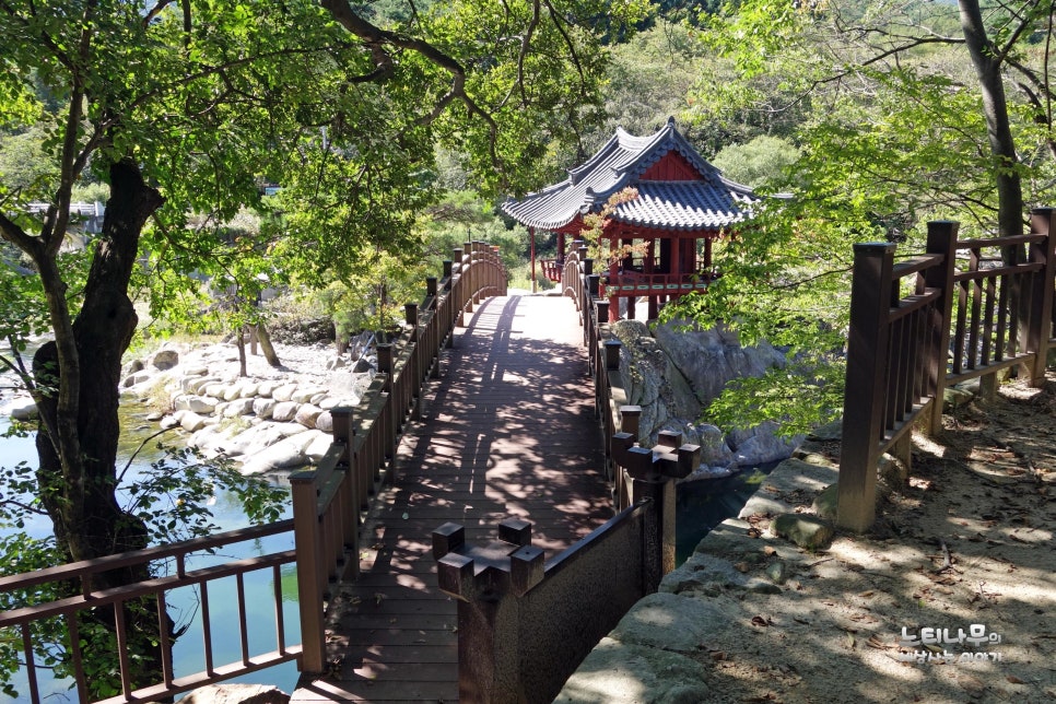 함양둘레길 화림동계곡 함양 선비길 트레킹~ 거연정~군자정~동호정~농월정~광풍루 네이버 블로그