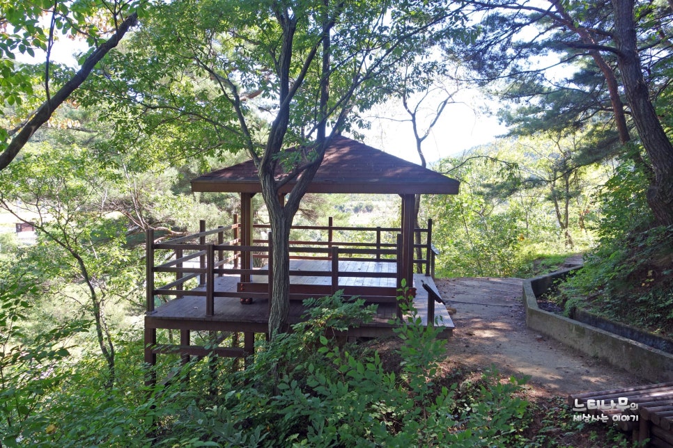 함양둘레길 화림동계곡 함양 선비길 트레킹~ 거연정~군자정~동호정~농월정~광풍루 네이버 블로그