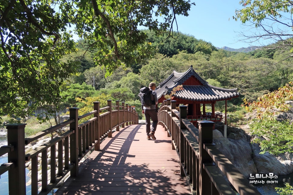 함양둘레길 화림동계곡 함양 선비길 트레킹~ 거연정~군자정~동호정~농월정~광풍루 네이버 블로그