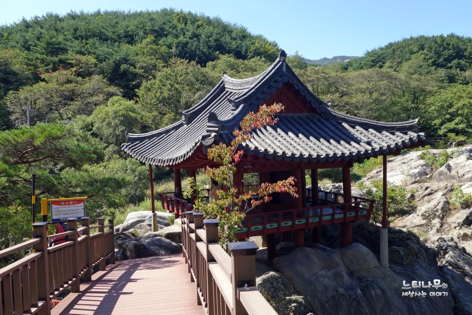 함양둘레길 화림동계곡 함양 선비길 트레킹~ 거연정~군자정~동호정~농월정~광풍루 네이버 블로그