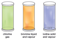 할로겐. Halogens. : 네이버 블로그