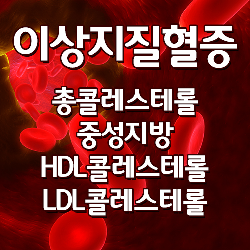 이상지질혈증고지혈증이란 총콜레스테롤 중성지방 Ldl콜레스테롤 Hdl콜레스테롤 네이버 블로그