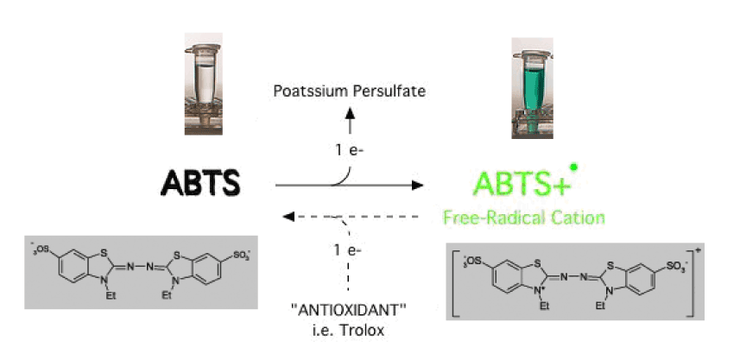 DPPH, ABTS 측정의 차이점 : 네이버 블로그