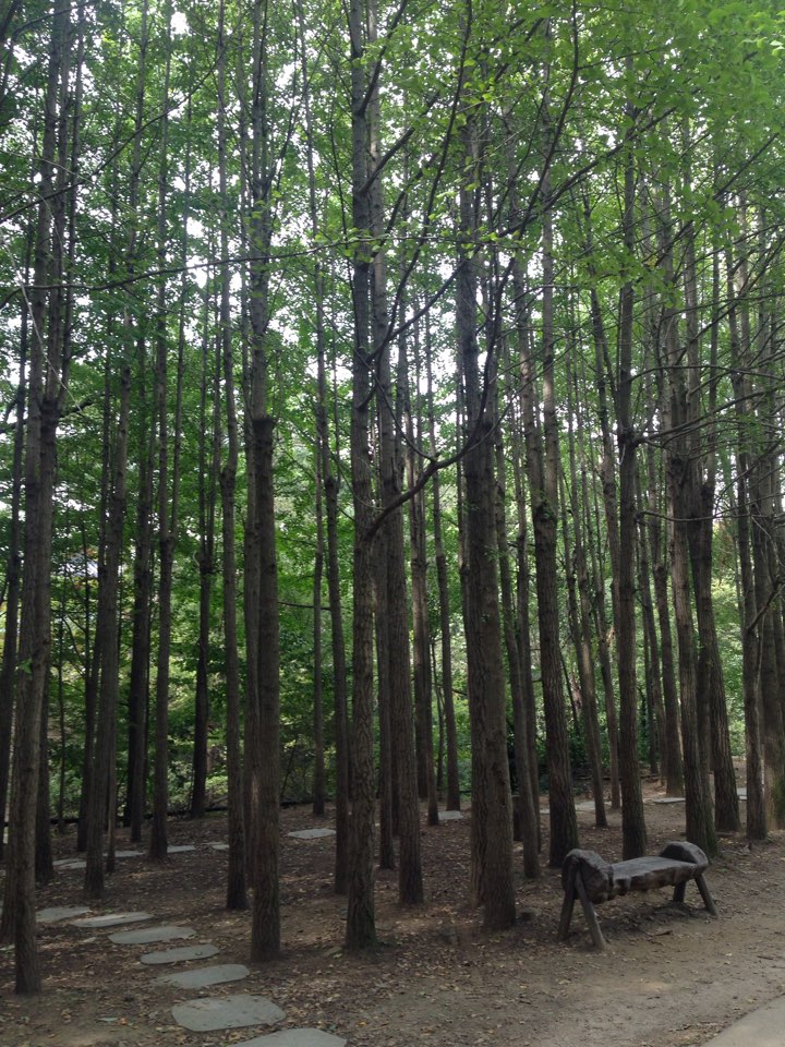 가을에 걷기 좋은 길 북한산 둘레길 ‘마실길’ : 네이버 블로그