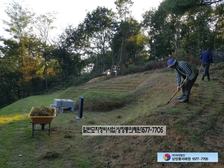 묘지관리및 묘지점검 임상자료and가을철묘지관리묘지보수활개보수봉분보수산소보수묘소보수묘보수묘관리산소관리무덤관리산소잔디