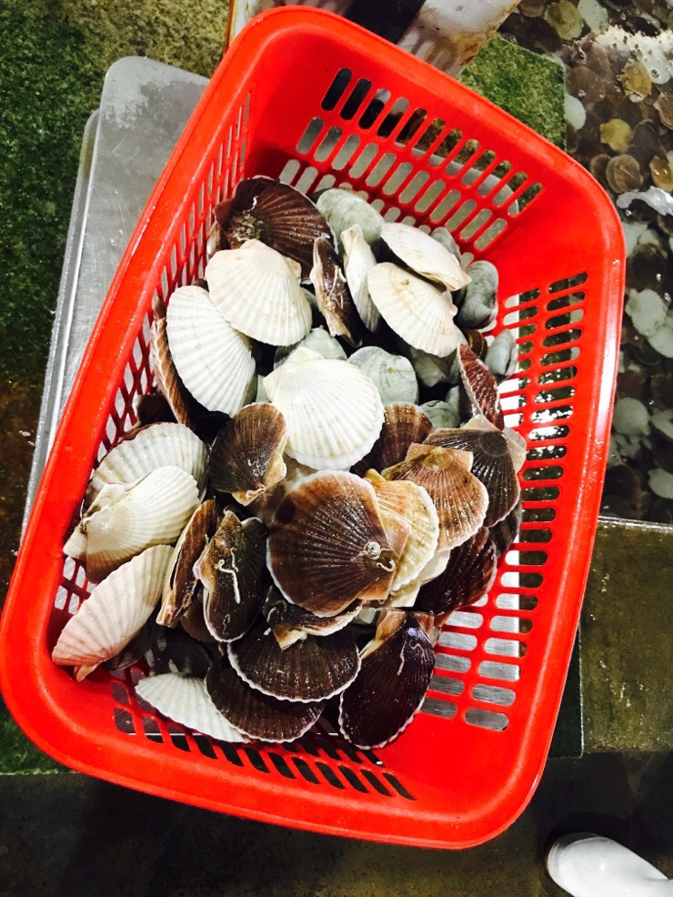 [강릉맛집]강릉 동해 삼척 조개도매 조개도매로 파는 곳 할매조개집 조개판매장 : 네이버 블로그