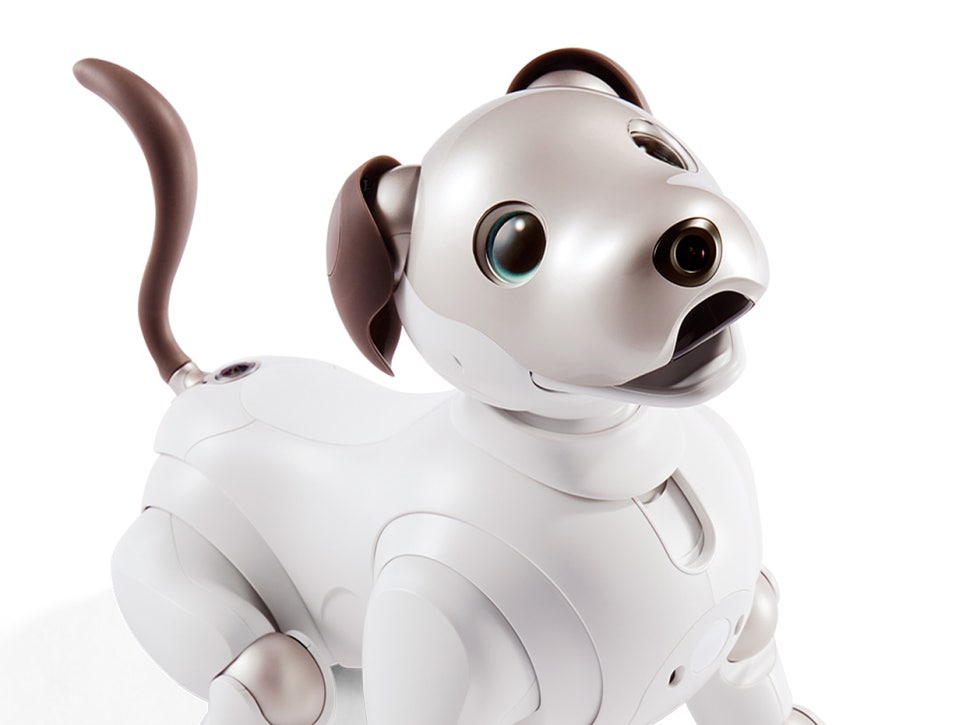 Sony's Newest Aibo Robot Dog Toy (소니 아이보) : 네이버 블로그