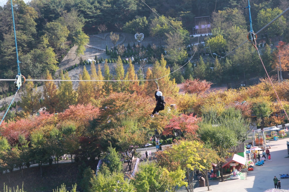 청도 가볼만한곳 프로방스 내에 있는 짚라인 짜릿한 체험 네이버 블로그