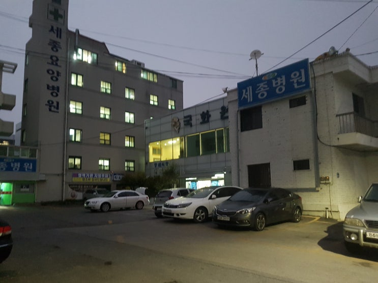 국화원밀양세종병원 장례식장 장례행사 도움드렸습니다 밀양화장장 밀양시 삼랑진읍 선영下 네이버 블로그