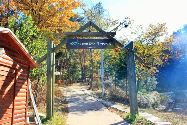 울산여행 가을을 품은 입화산 자연휴양림 참살이숲 네이버 블로그