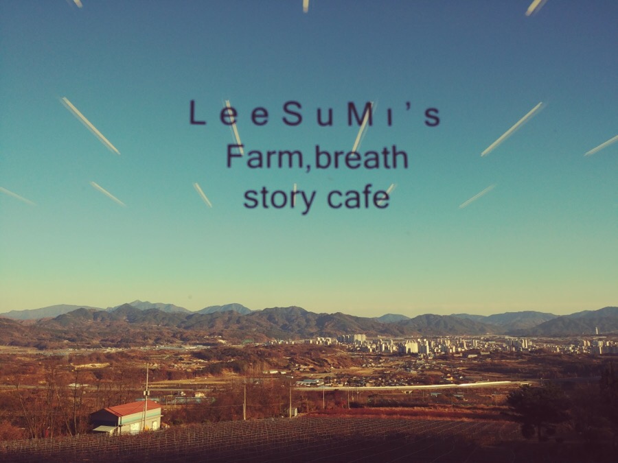 경남 거창 수제 돈까스 맛집 이수미 팜베리 농가 레스토랑카페 네이버 블로그