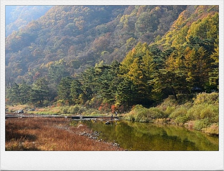 진안고원길9구간 운일암반일암 숲길 네이버 블로그