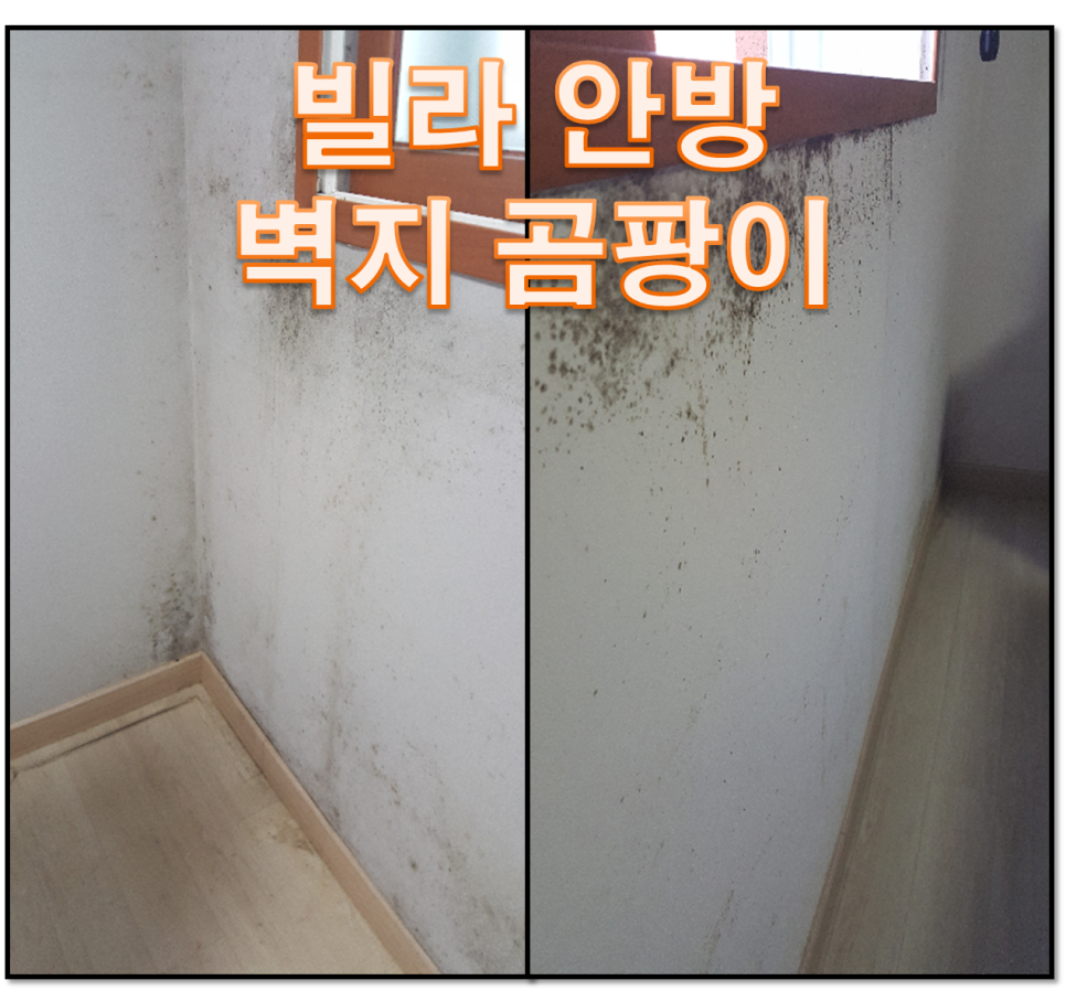 결로 곰팡이 방지 단열 차열 방수 광촉매 퍼스트코트 네이버 블로그