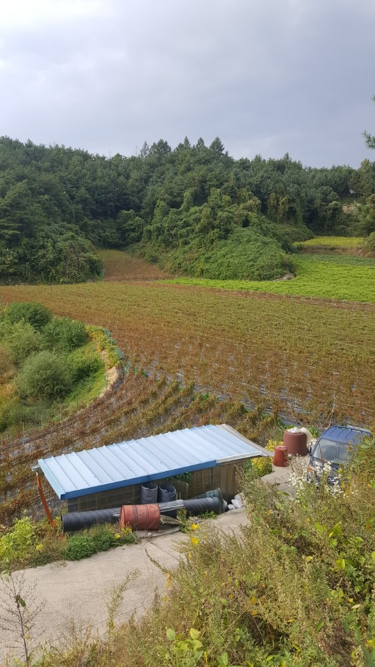 경북 영주시 평은면500kw용량 태양광발전소 개발행위허가 완료 분양 태양광발전사업 네이버 블로그
