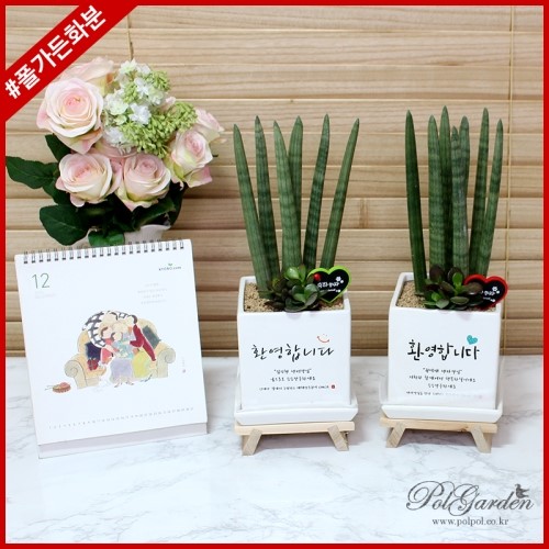 폴가든화분 개업선물 승진선물 상견례선물 그 특별한 화분선물 네이버 블로그