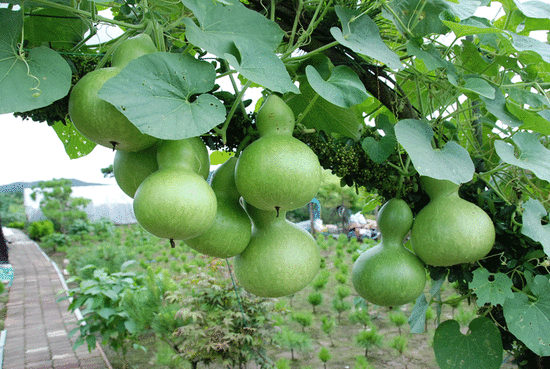 신기한 샘물 : 네이버 블로그