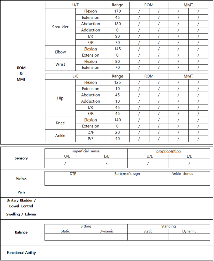물리치료사를 위한 SOAP 양식 및 작성 예시 : 신경계 : 네이버 블로그