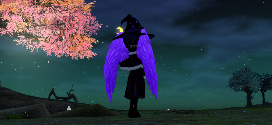 마비노기 밤의 마녀 모자 / 브릴루엔 헤어 쿠폰 / 세계수 : 네이버 블로그