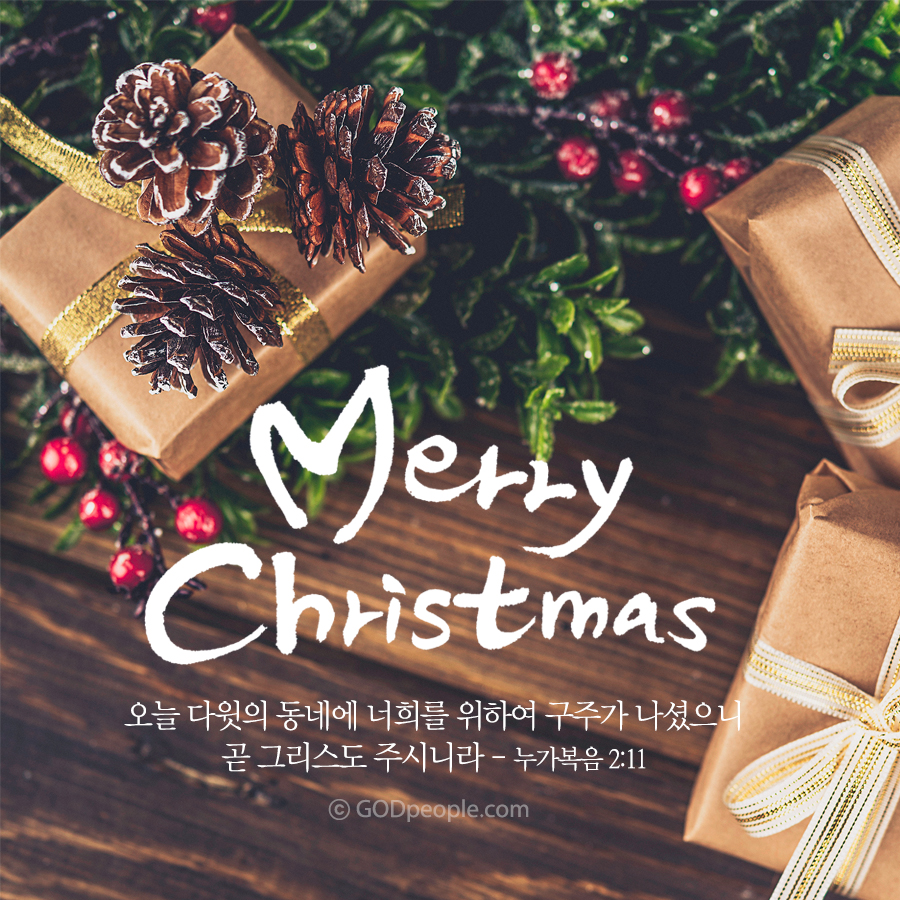 크리스마스 성경말씀 카드 갓피플 성탄 바탕화면 배경화면 네이버 블로그