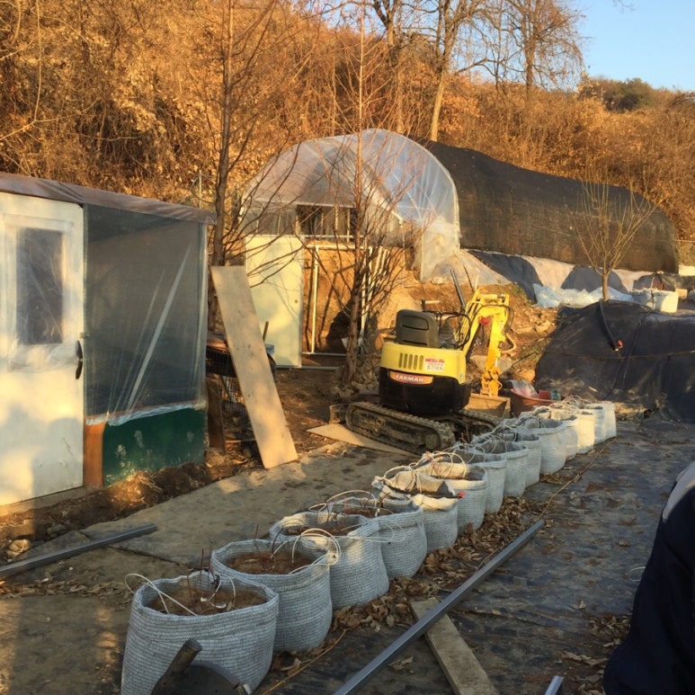 자연저장고 토굴 만들기 네이버 블로그
