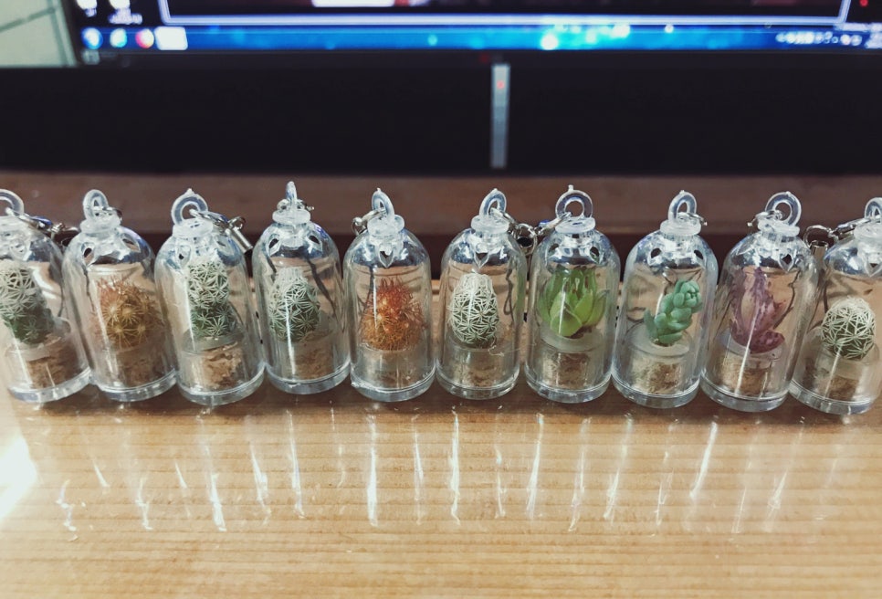 미니 다육이 열쇠고리 : 네이버 블로그
