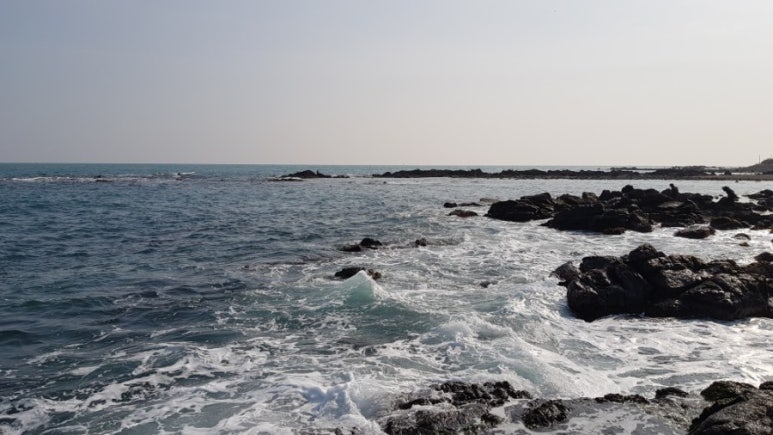 다이와 웨이더 백(J) 보관가방 / 케이스 : 네이버 블로그