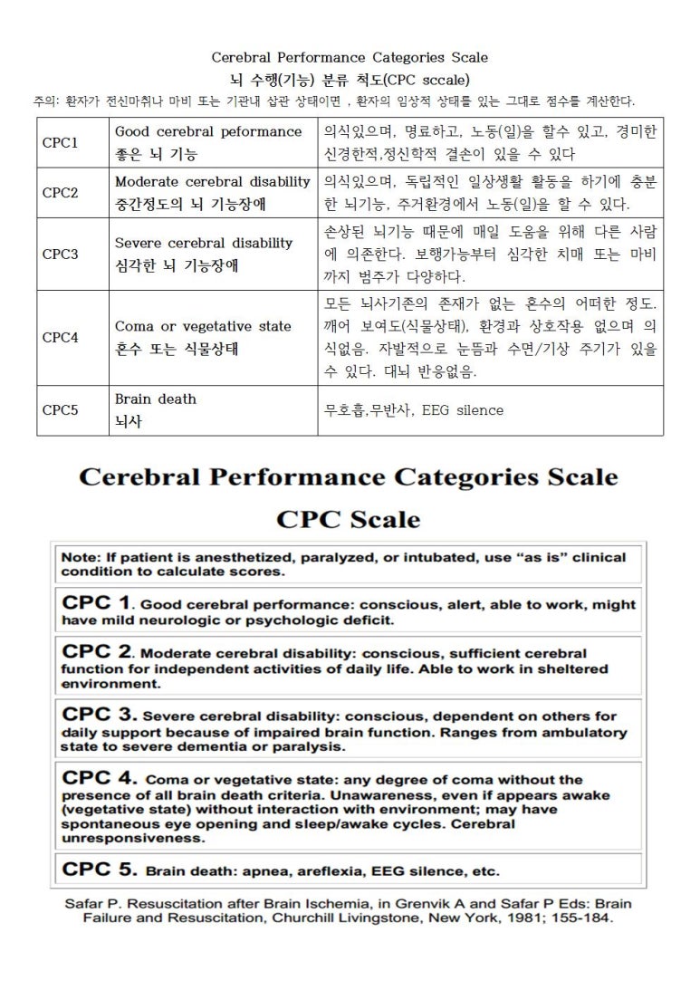 Cerebral Performance Categories Scale(CPC Scale, CPC score, CPC점수, 씨피씨 ...
