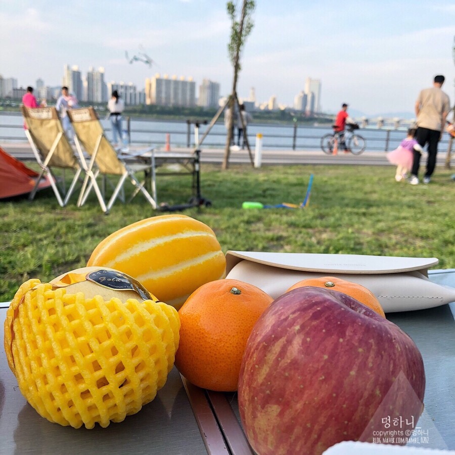 잠실 한강공원 피크닉 나들이 텐트에어베드 캠핑느낌 만끽 네이버 블로그