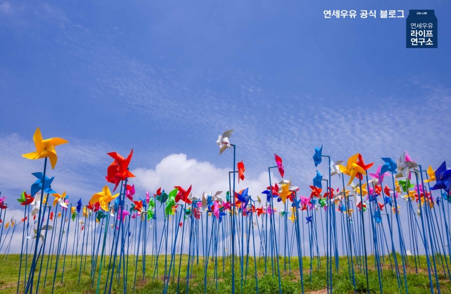 서울 근교 봄 소풍 가볼 만한 곳 유치원 어린이집 및 가족 봄 소풍 장소 추천 네이버 블로그