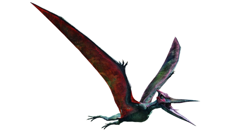 프테라노돈 롱기셉스 Pteranodon longiceps [쥬라기 공원/쥬라기 월드 동물] : 네이버 블로그