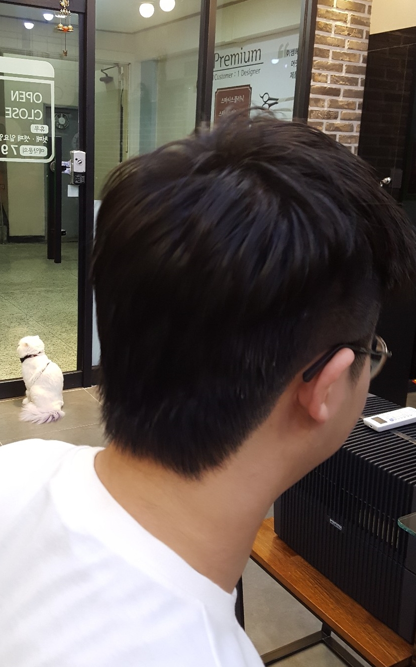 김병지 머리,송민호 머리 울프컷 다시 유행? : 네이버 블로그