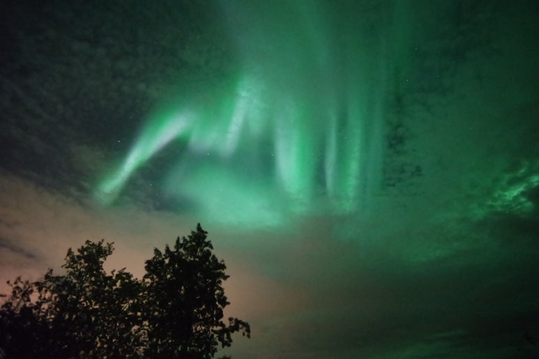 알래스카 페어뱅크스 오로라 패키지 투어 시내 투어 City Tours In Fairbanks 알래스카 자유 여행