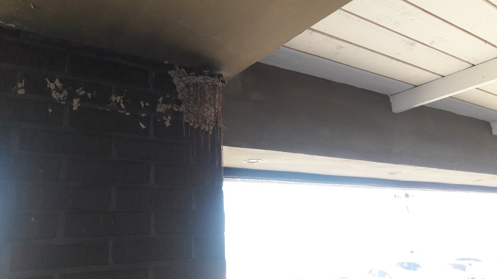 청사포 제비집 - 부산 해운대구 청사포 카페xxx 커피전문점 입구 제비집 : 네이버 블로그