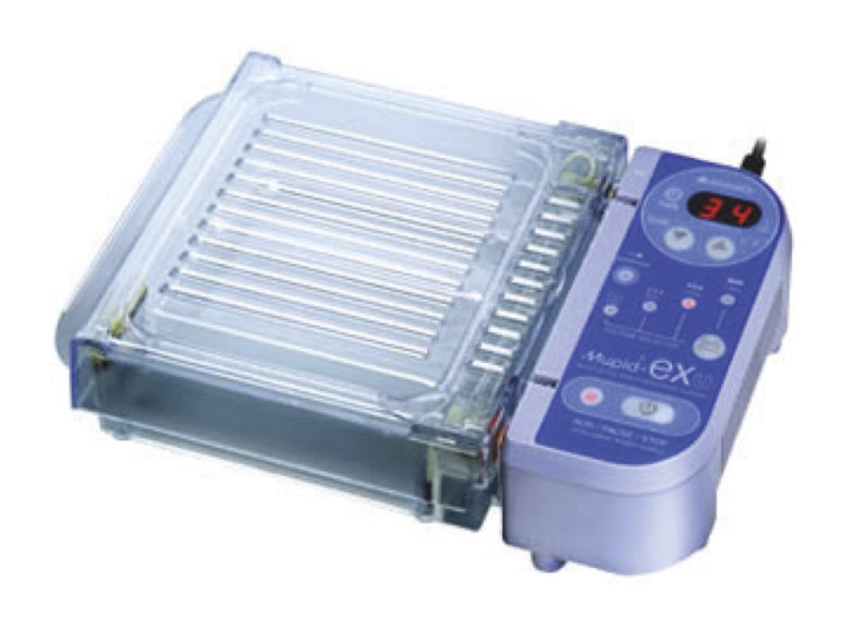 [엔바이오랩]-Mupid-2plus, Mupid-One, Mupid-exU, 머피드 전기영동 시리즈 / 수평형 전기영동장치 ...