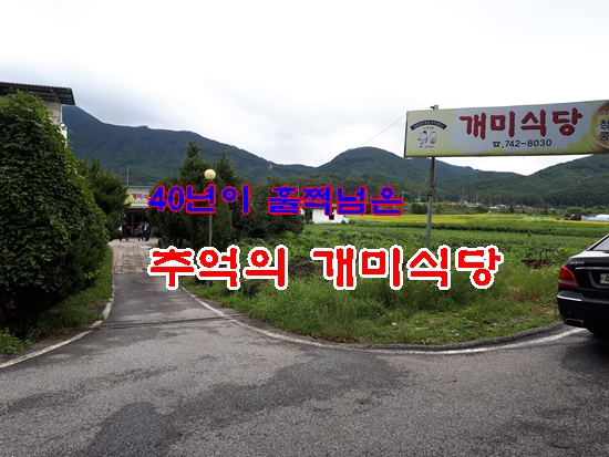 트럭운전사의 향수 식당 개미식당경부고속도로 영동군 용산면 금계리 네이버 블로그