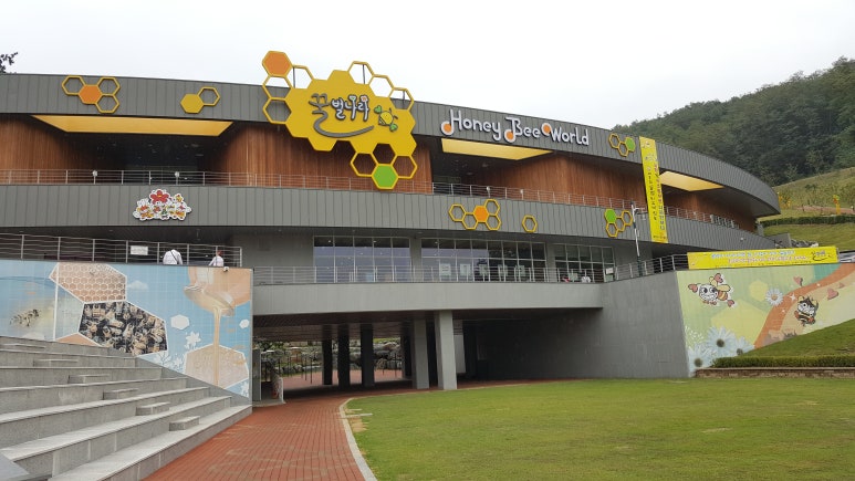 경북 여행 경북 칠곡군 꿀벌나라 테마공원 네이버 블로그