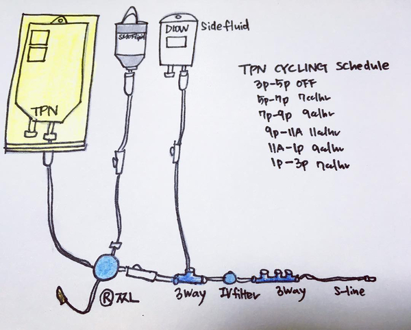 TPN : 네이버 블로그