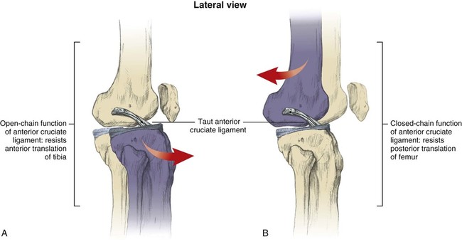 [백본리햅] The Screw Home Mechanism of the Knee 무릎의 스크류 홈 메카니즘 : 네이버 블로그