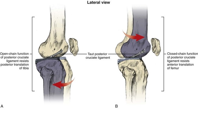 [백본리햅] The Screw Home Mechanism of the Knee 무릎의 스크류 홈 메카니즘 : 네이버 블로그