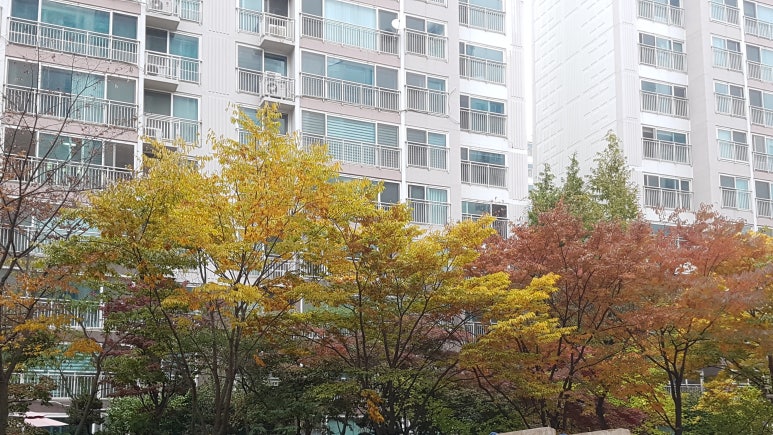 교하 책향기마을 동문10단지 아파트 전세 네이버 블로그