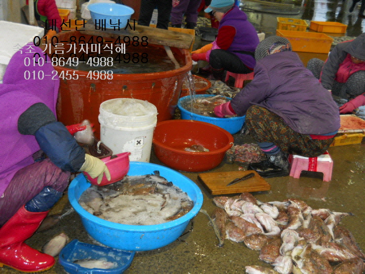 주문진 속초 반건조생선 판매 말린생선 파는곳 택배 가격 네이버 블로그