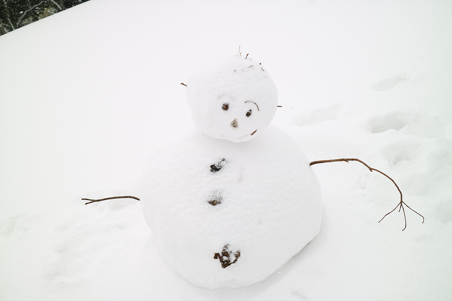 눈 오는 제주 서귀포, 겨울 오셜록 티 뮤지엄, 테디베어 박물관 : 네이버 블로그