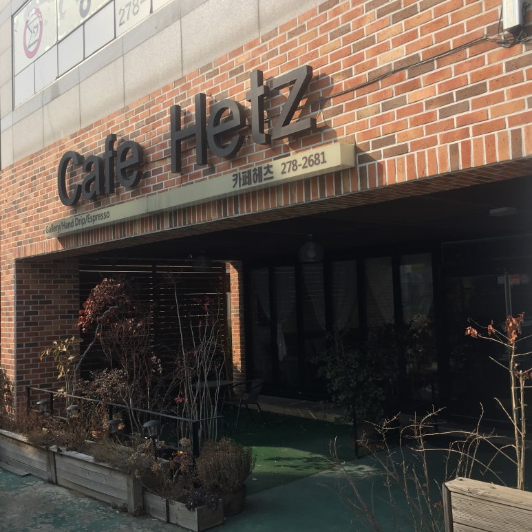 포항꽃집이동꽃집플라워카페꽃다발드라이플라워식물화분블루메헤츠 네이버 블로그
