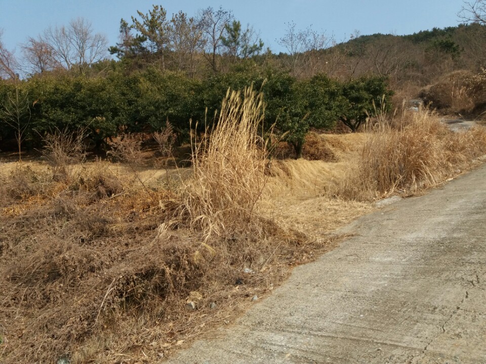 매물번호 토지 300216 거제시 거제면 법동리 산달도 바다전망 전원주택 부지 And 팬션부지 And 별장부지 And 향후 투자용