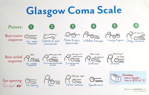 의식 사정 #GCS; Glasgow Coma Sclae : 네이버 블로그