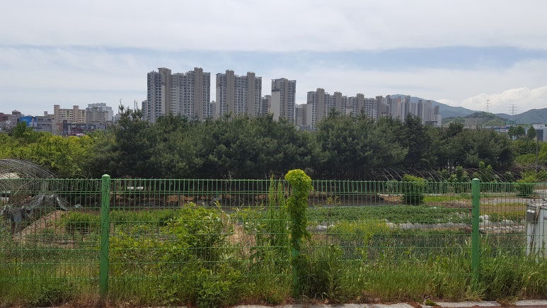 울산 굴화 Lh 태화강변 공공주택지구2 네이버 블로그