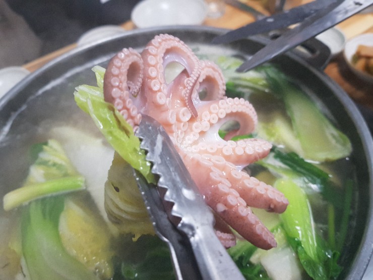 동탄 쭈꾸미샤브샤브 봄미나리주꾸미대박행진 네이버 블로그