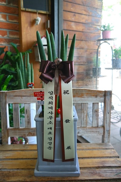 대구 개업화분 대구화분개원화분입택화분전시회화분졸업작품전화분사계절플라워태전동꽃집침산동꽃집팔달동꽃집노원동꽃집꽃