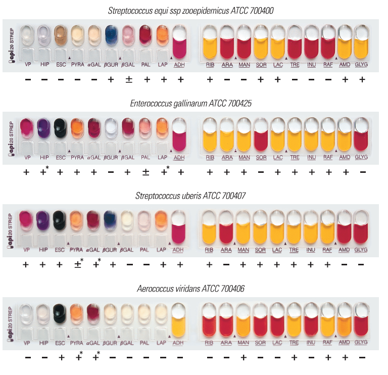 신규, 특허 미생물 자원화_한국의과학연구원 미생물자원화센터 : 네이버 블로그
