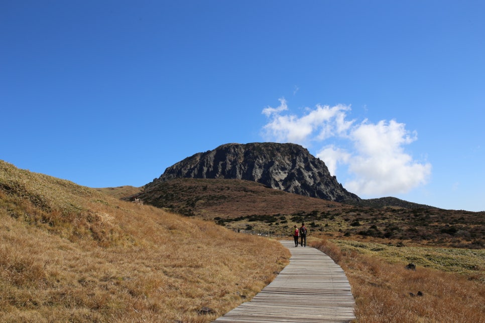 [제주여행] 제주의 가을을 만나다! 영실 & 함덕서우봉해변 : 네이버 블로그